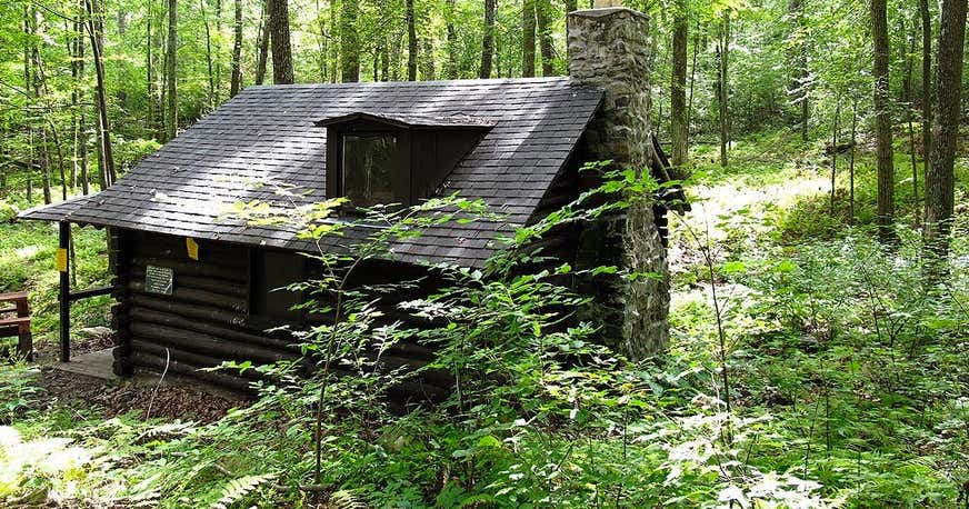 Dean State Forest, Pedro | Roadtrippers