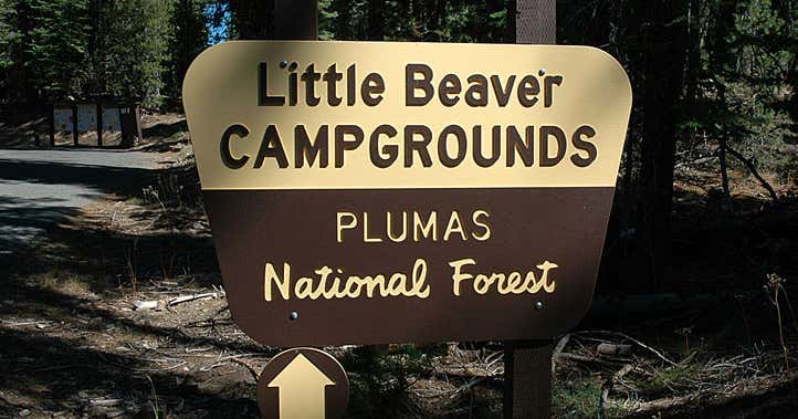 Little Beaver Campground, California | Roadtrippers