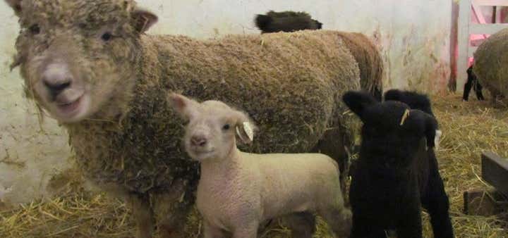Muscoot Farm, Katonah | Roadtrippers
