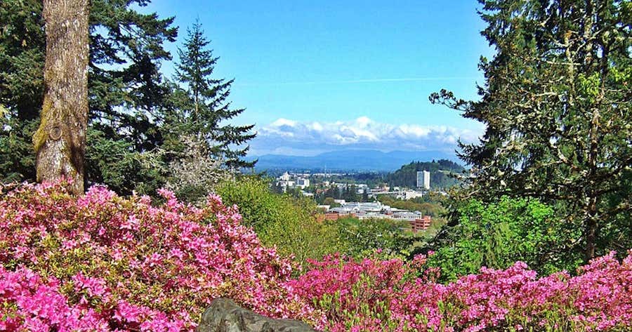 Hendricks Park, Eugene | Roadtrippers