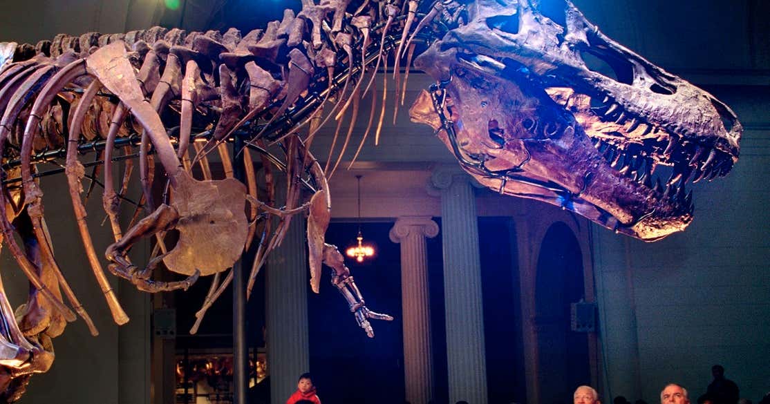 Kirby Science Discovery Center, Sioux Falls | Roadtrippers