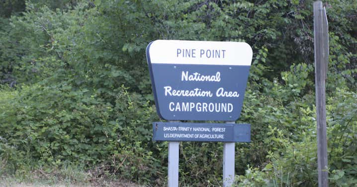 Pine Point Campground, Oregon | Roadtrippers