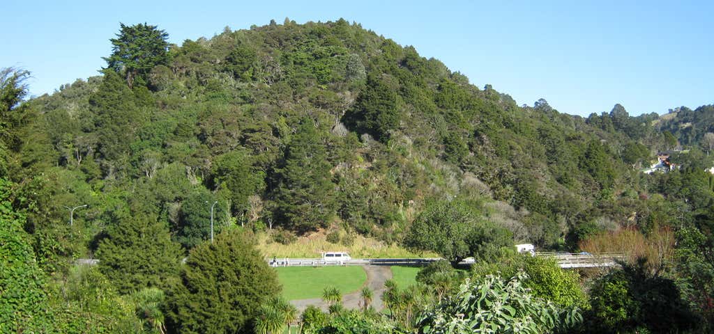 Coronation Scenic Reserve Tracks, North Island | Roadtrippers