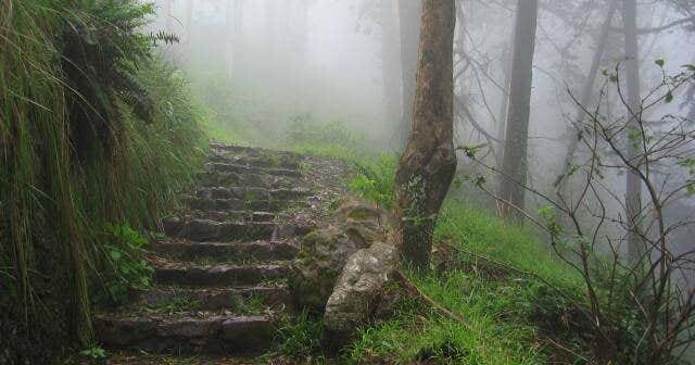 Mount Davidson Park, San Francisco | Roadtrippers