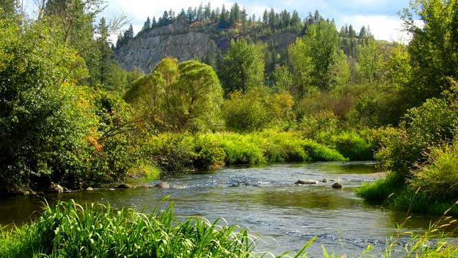Photo of Pine River Park | Roadtrippers