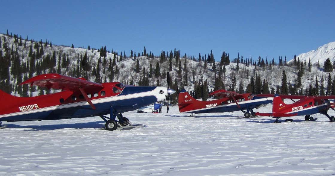Talkeetna Air Taxi, Talkeetna | Roadtrippers