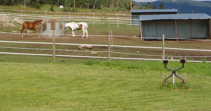 Hawks Rest Ranch Stables & Trail Rides, Pistol River | Roadtrippers