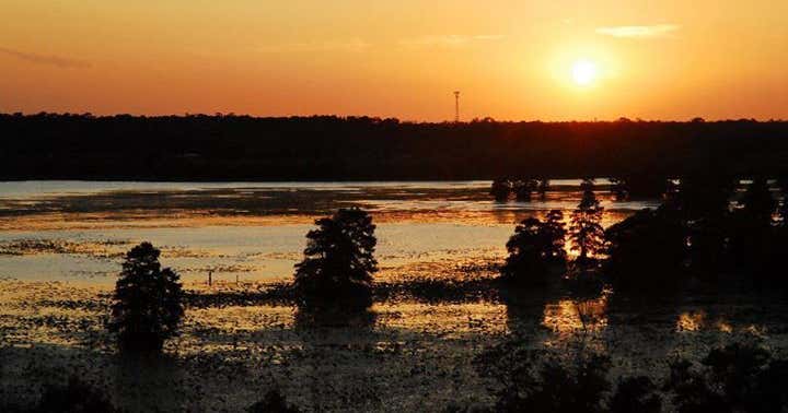 Sheldon Lake State Park & Environmental Learning Center, Houston ...