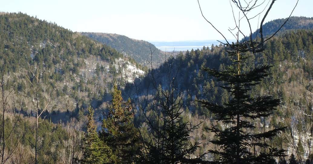 Caledonia Gorge, New Brunswick | Roadtrippers