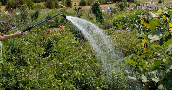 Luscher Farms and Cooks Butte - Stevens Meadows, Lake Oswego | Roadtrippers