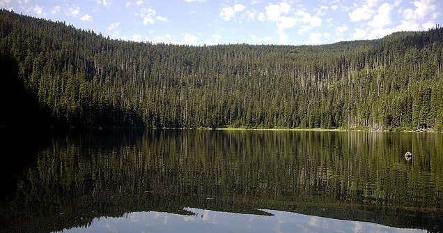Badger Lake Campground, Oregon | Roadtrippers