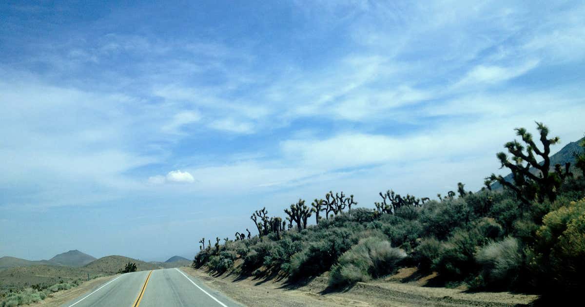 The Joshua Tree Forest of California Route 178, Onyx | Roadtrippers