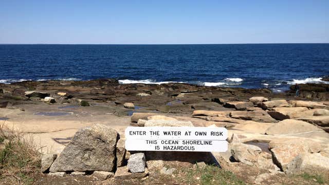 Are Dogs Allowed At Halibut Point State Park