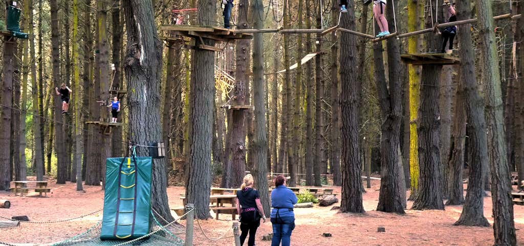 Adrenalin Forest Christchurch, Canterbury | Roadtrippers