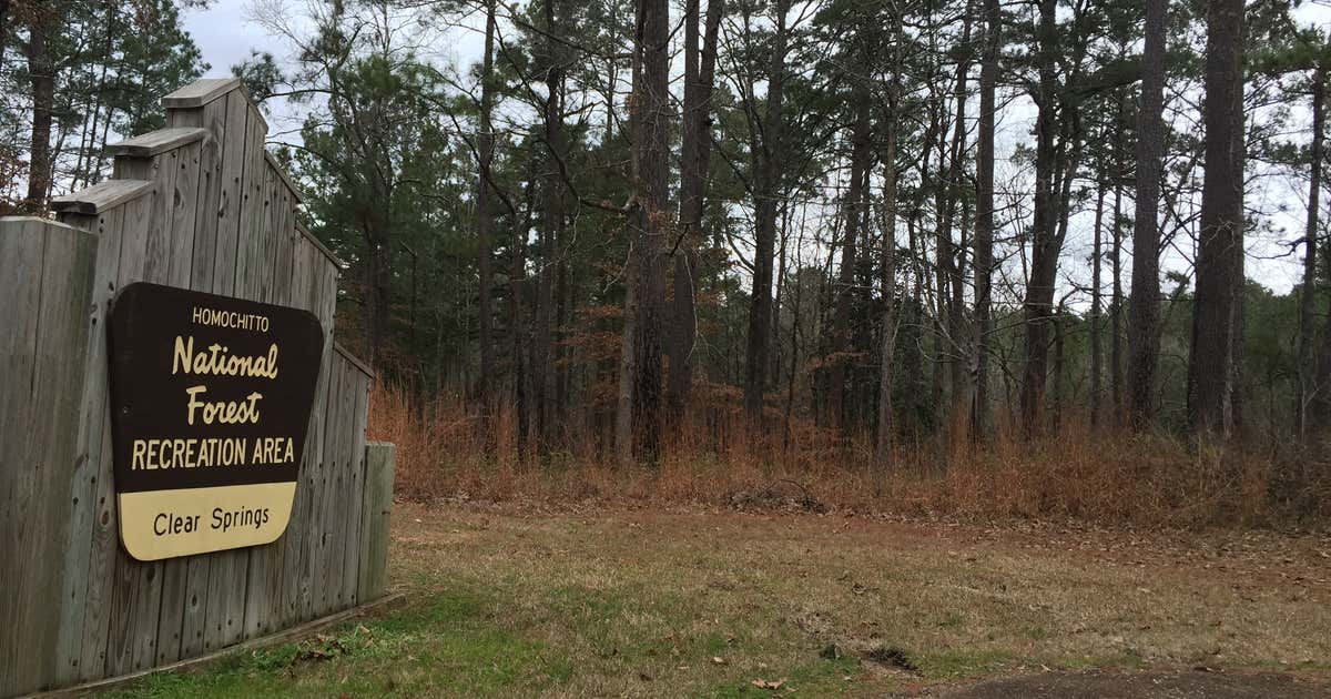 Homochitto National Forest, Mississippi | Roadtrippers