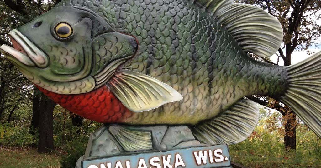 Sunny the Sunfish, Onalaska | Roadtrippers