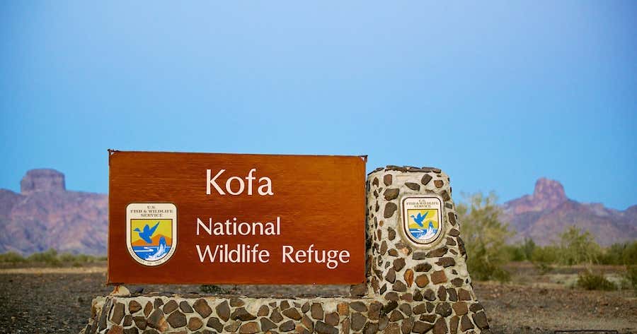Kofa National Wildlife Refuge, Yuma | Roadtrippers