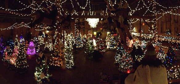 The Barn At Springfield Farm, Williamsport | Roadtrippers