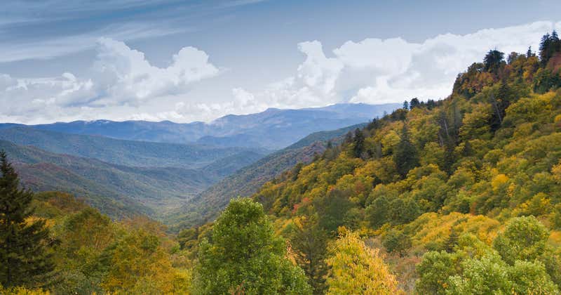 Newfound Gap, North Carolina | Roadtrippers