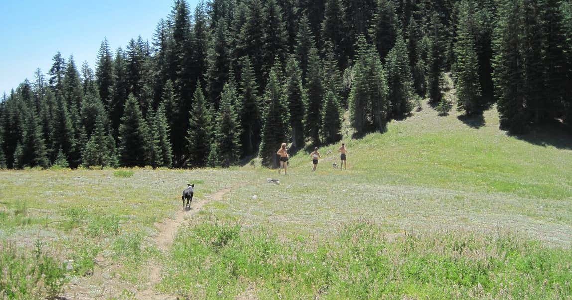 Mountain Pines Campground, Champion | Roadtrippers