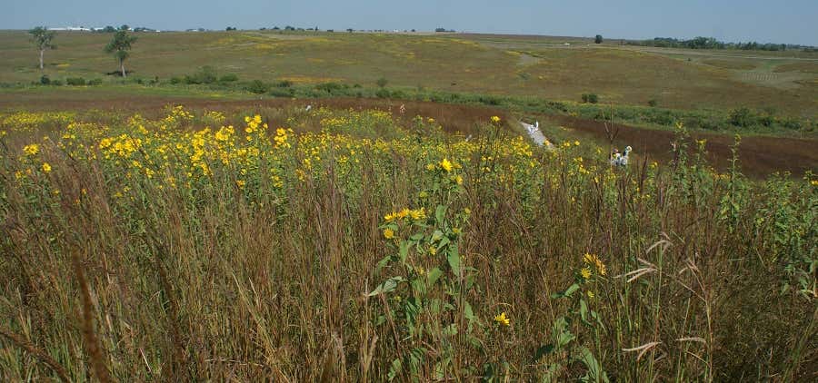 Neal Smith National Wildlife Refuge, Prairie City | Roadtrippers