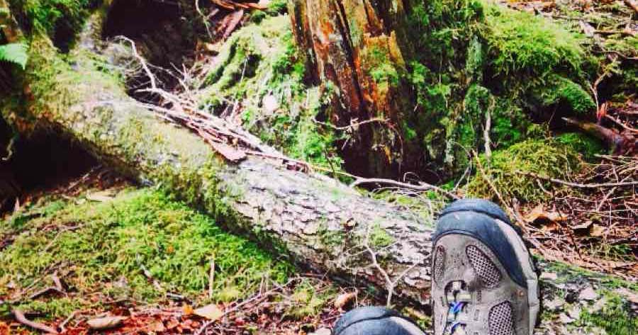 Flume Trail, Juneau | Roadtrippers
