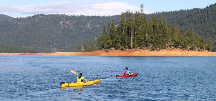 Pinewood Cove Resort on Trinity Lake, Trinity Center | Roadtrippers