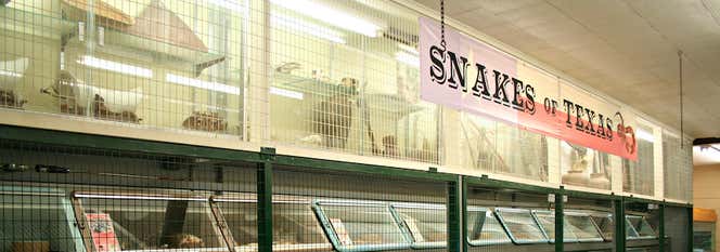 Photo of Animal World & Snake Farm Zoo | Roadtrippers