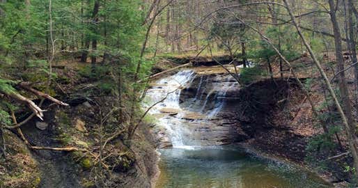 Chair Factory Falls, Painesville | Roadtrippers