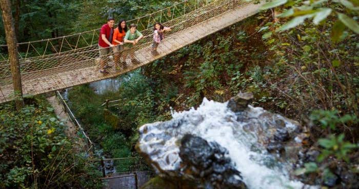 Foxfire Mountain Swinging Bridge, Sevierville | Roadtrippers