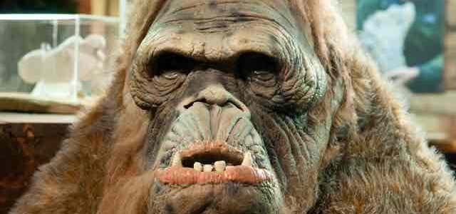 Expedition:BIGFOOT!, Blue Ridge | Roadtrippers