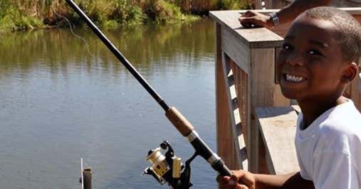 Rock Run Rookery Preserve, Joliet | Roadtrippers