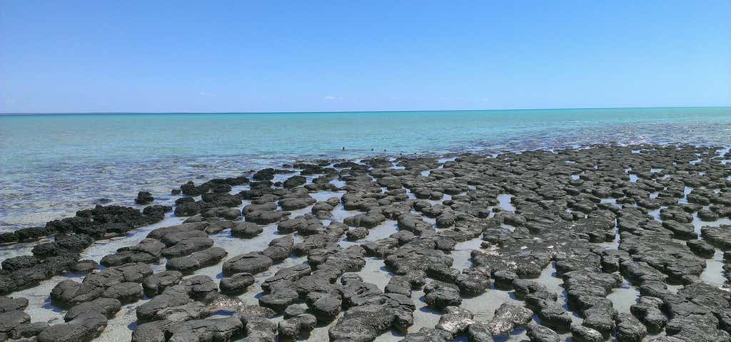 Hamelin Pool Marine Nature Reserve, Western Australia | Roadtrippers