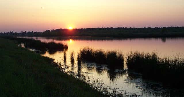 Red Slough Wildlife Management Area, Haworth | Roadtrippers
