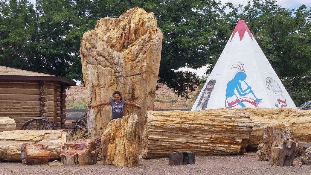 Worlds Largest Petrified Tree at Geronimo Trading Post, Holbrook ...