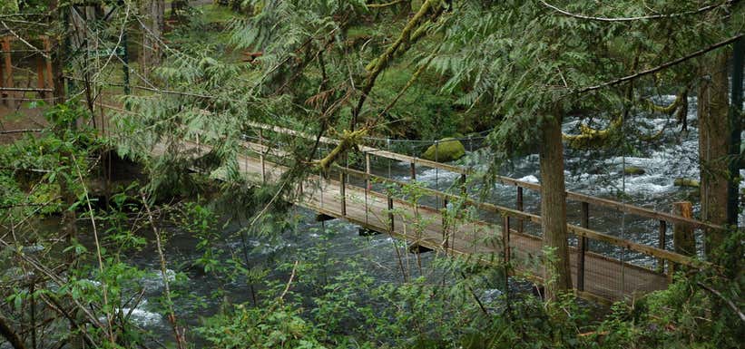 Trask River County Park, Tillamook | Roadtrippers