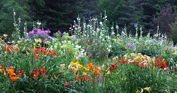 Vermont Flower Farm, Marshfield | Roadtrippers