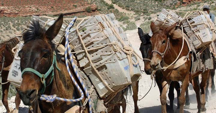 Supai Village, Supai | Roadtrippers