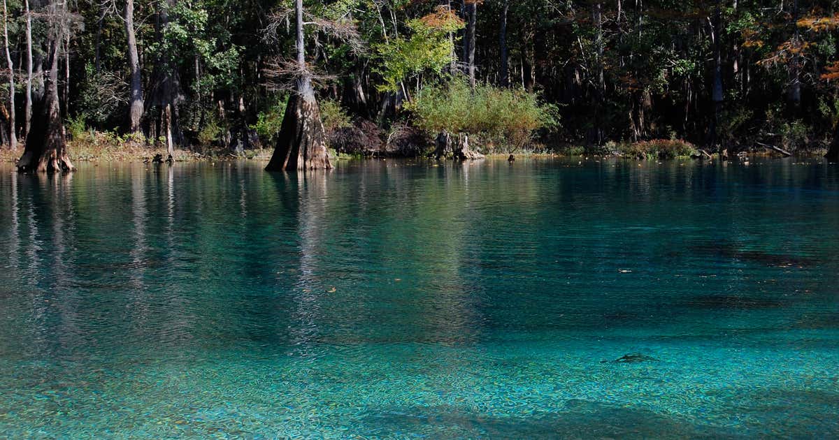 Hart Springs Park, Bell | Roadtrippers