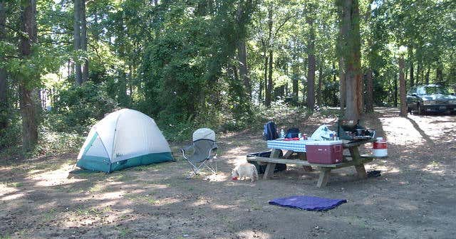 Nutbush Bridge Campground, Henderson | Roadtrippers