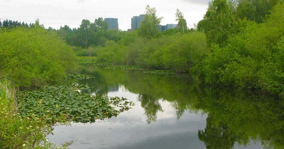Mercer Slough Nature Park, Bellevue | Roadtrippers