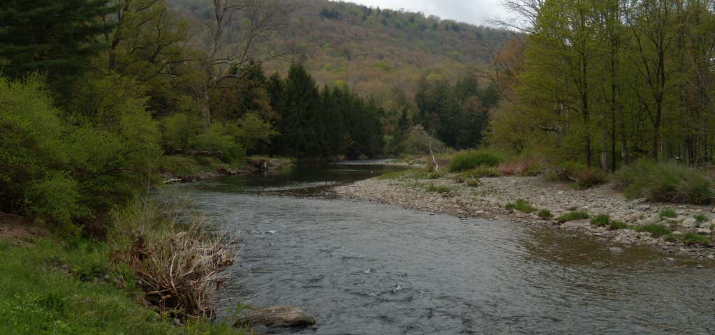 Beaverkill Campground, Roscoe | Roadtrippers