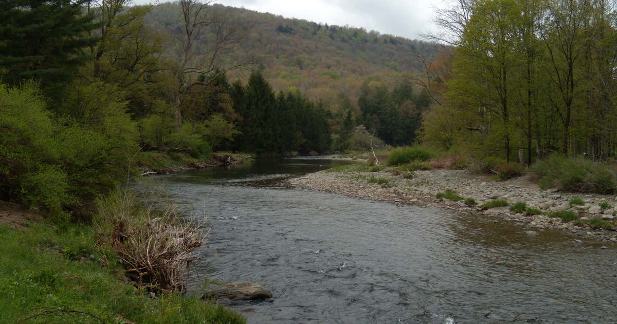 Beaverkill Campground, Roscoe | Roadtrippers