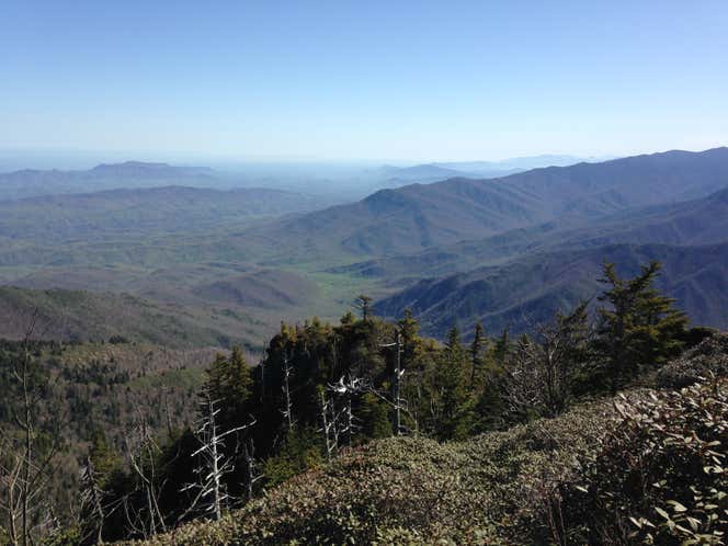 Photo of LeConte Lodge | Roadtrippers