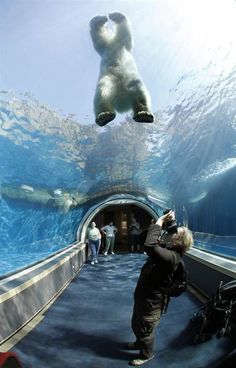 Photo of Pittsburgh Zoo & Aquarium | Roadtrippers