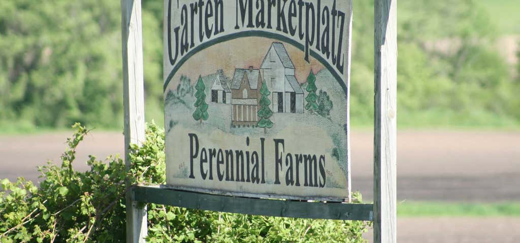 Garten Marketplatz Perennial Farms, Byron | Roadtrippers