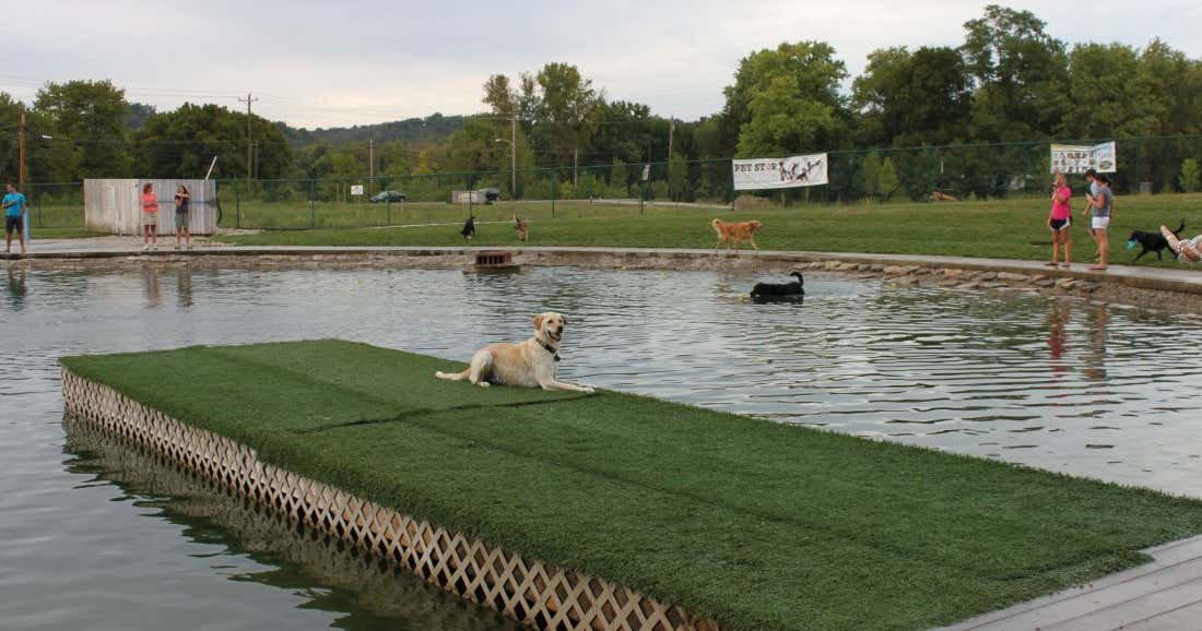 Wags Park, Cincinnati | Roadtrippers