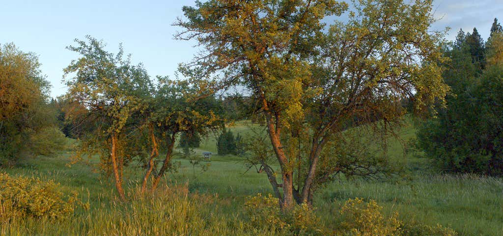 Virgil Phillips Farm Park, Moscow | Roadtrippers