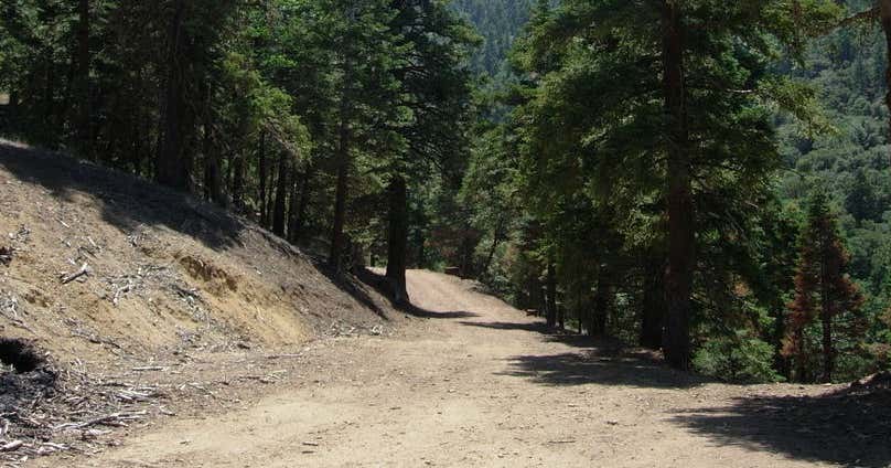 Tehachapi Mountain Park, Tehachapi | Roadtrippers