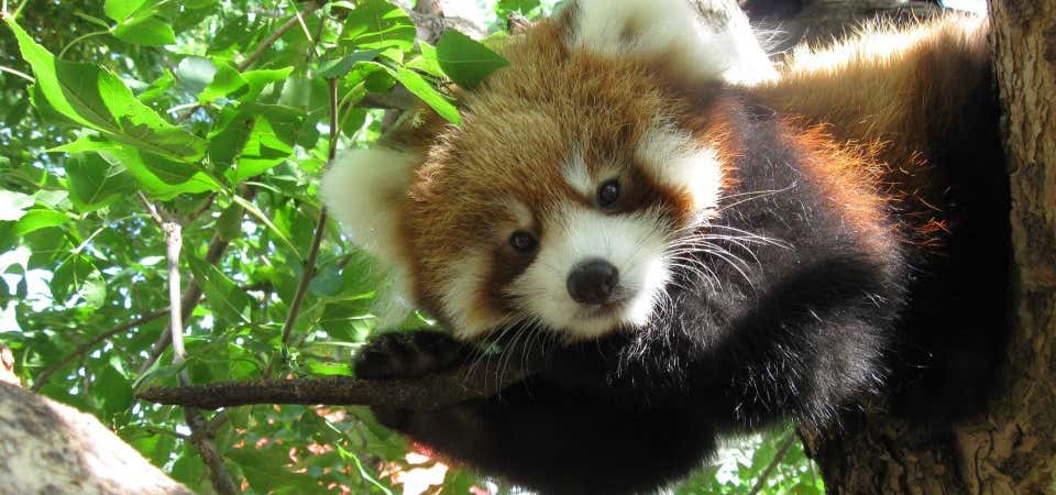 Red River Zoo, Fargo | Roadtrippers